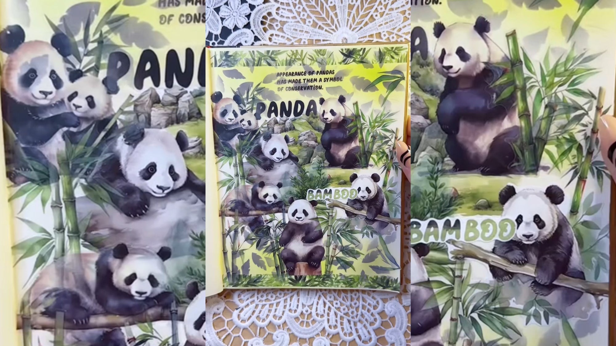 ASMR Creative Journal | Panda Theme | LBLYXIR