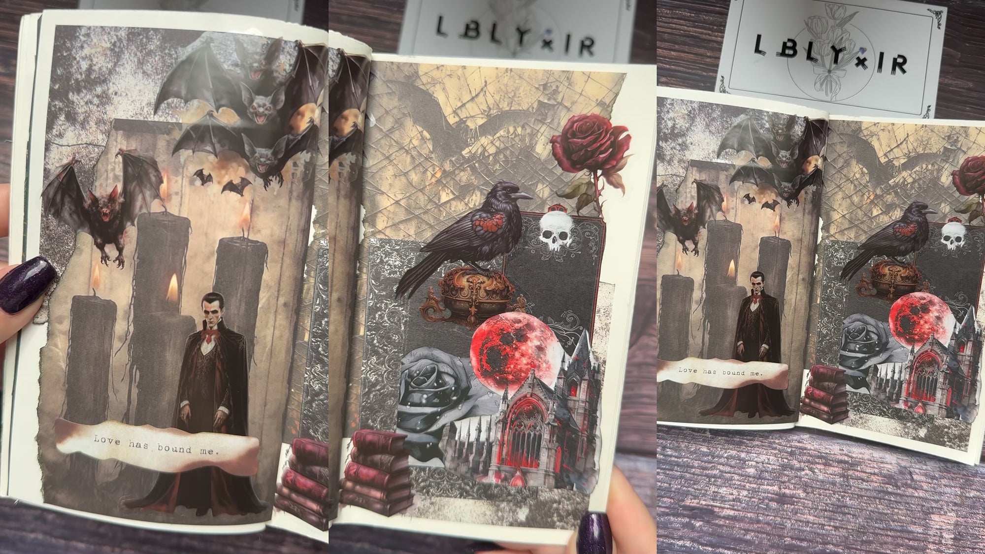 ASMR Creative Journal | Dracula Theme | LBLYXIR